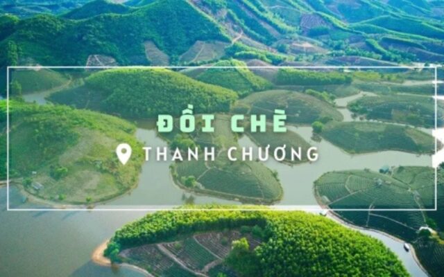 Du lịch Đảo Chè Thanh Chương: Thiên đường xanh xứ Nghệ 2026